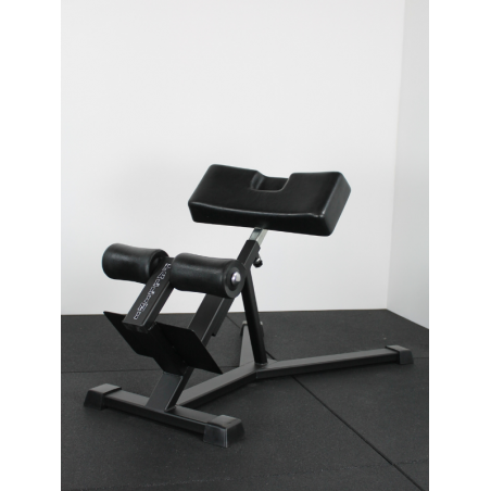 Lumbar Extension Bench 45º