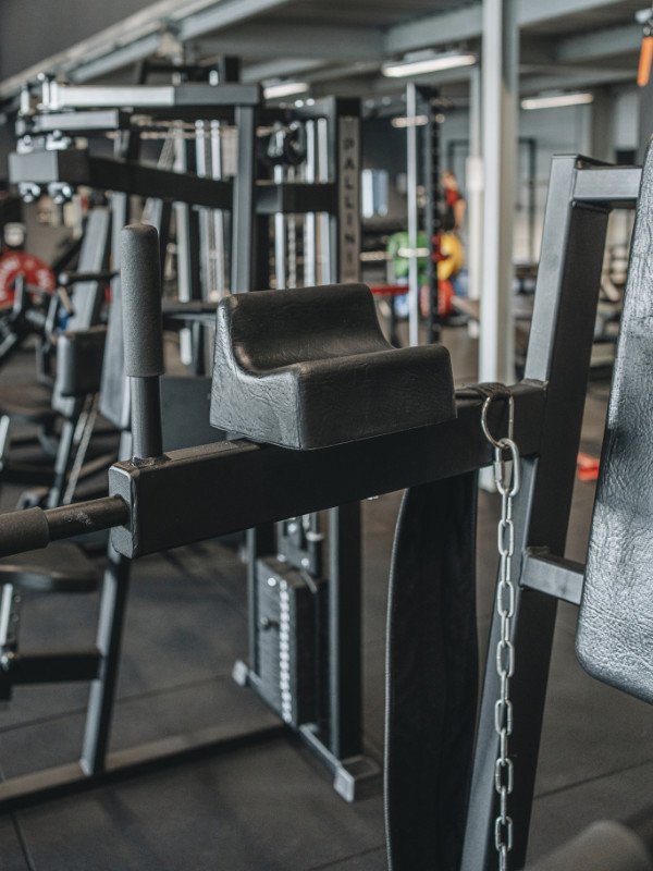 2-in-1 Station · Abs + Dips